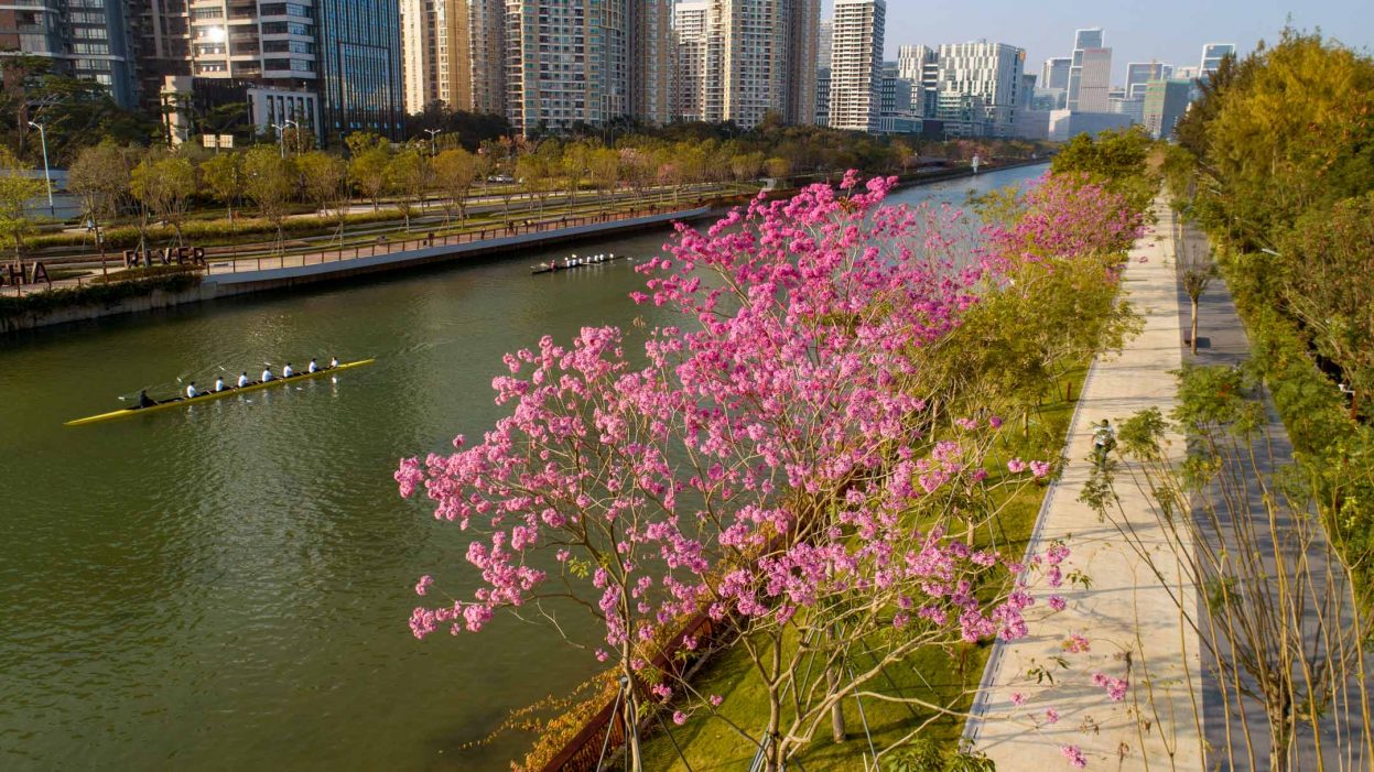 A Sustainable Path to Prosperity - Shenzhen - CNN