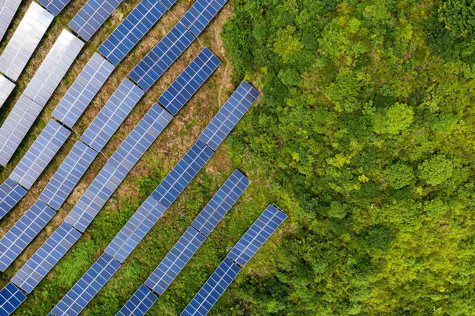Philippines Goes Green - Department of Finance Philippines - CNN